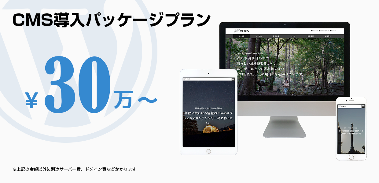 CMS導入パッケージ | サービス | WEBLIC LLC