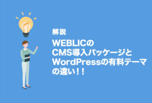 WEBLIC LLC